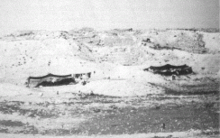 The Mesha Stele, or Moabite Stone | Evidence To Believe